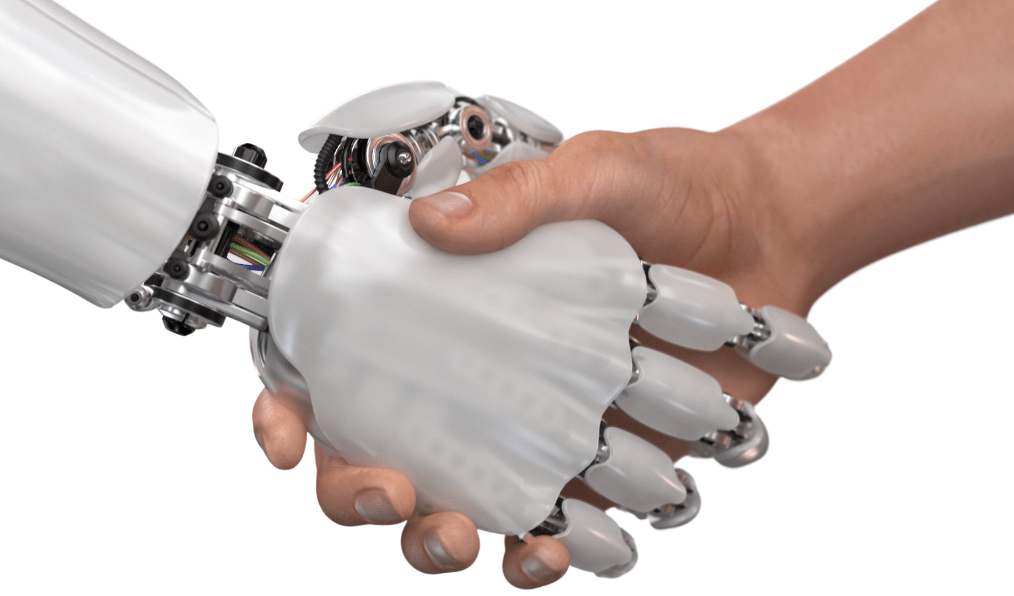 Partner - SCB Global